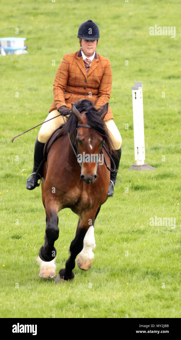 Pontargothi hi-res stock photography and images - Alamy