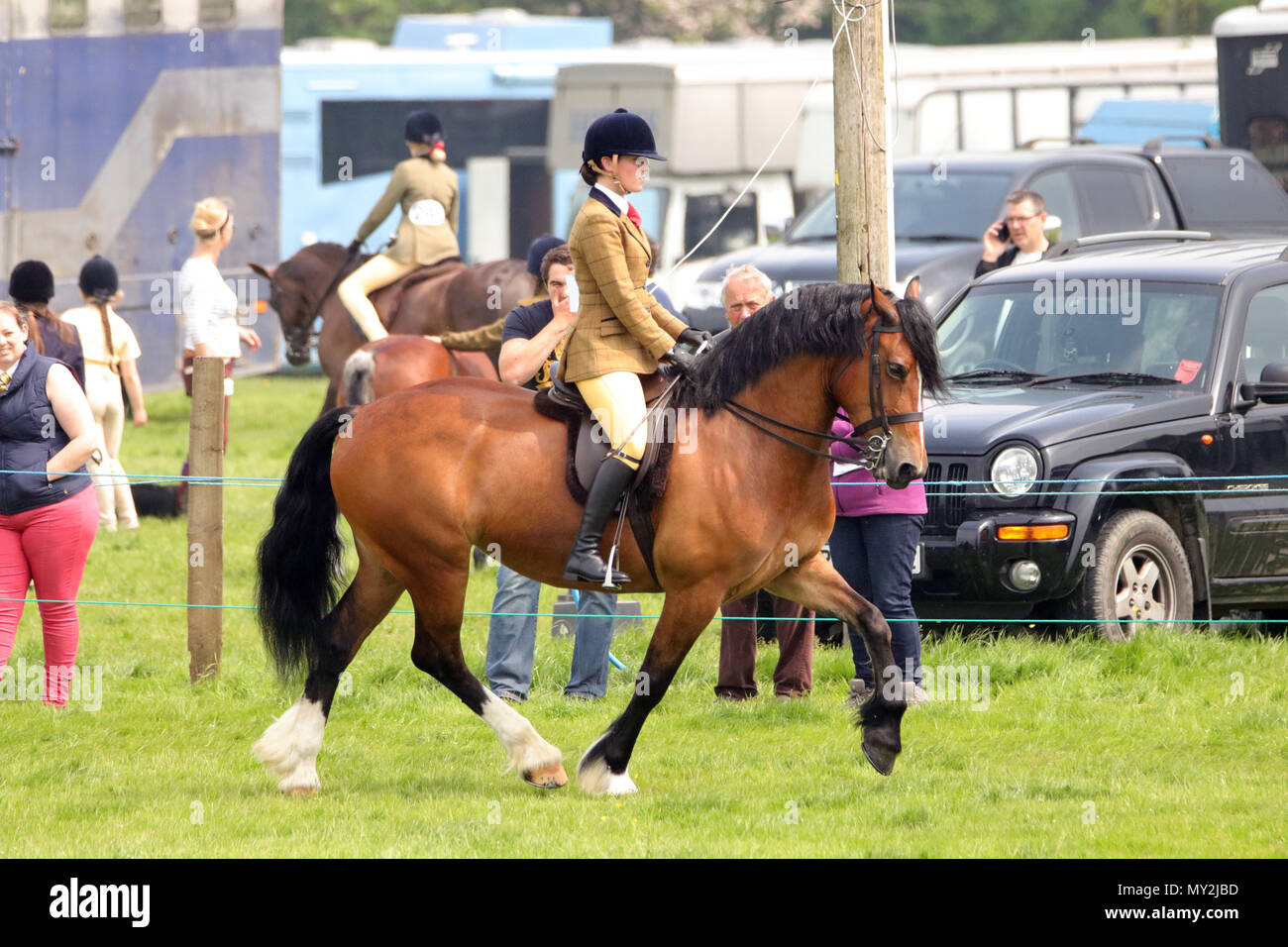 Pontargothi Show 2018 Stock Photo - Alamy