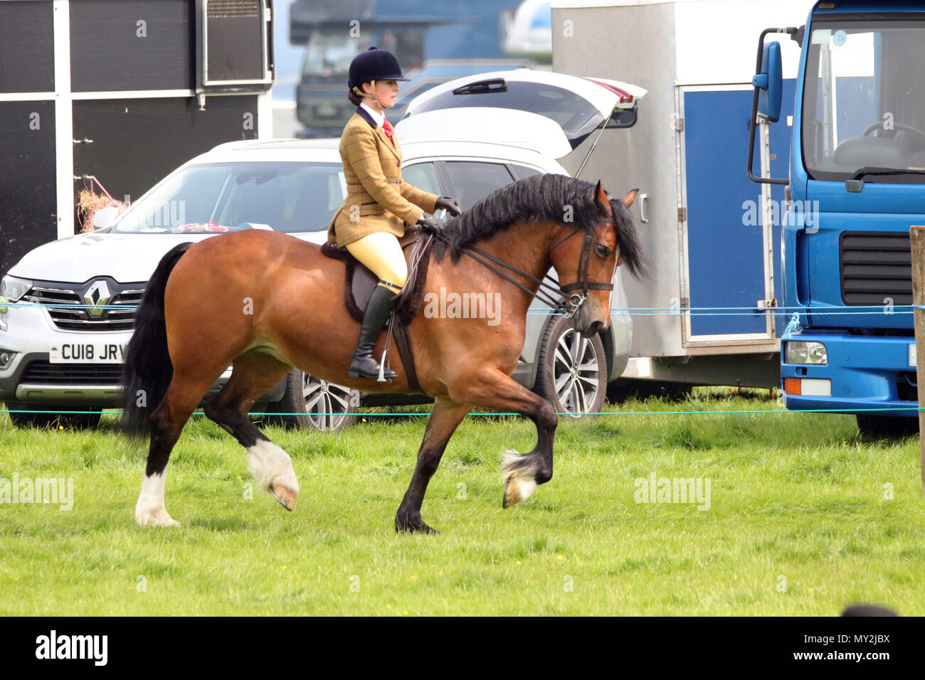 Pontargothi hi-res stock photography and images - Alamy