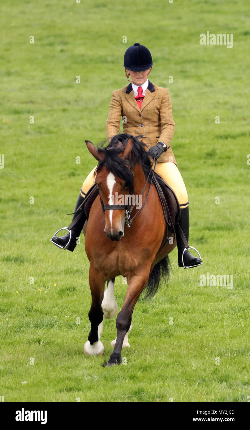 Pontargothi hi-res stock photography and images - Alamy