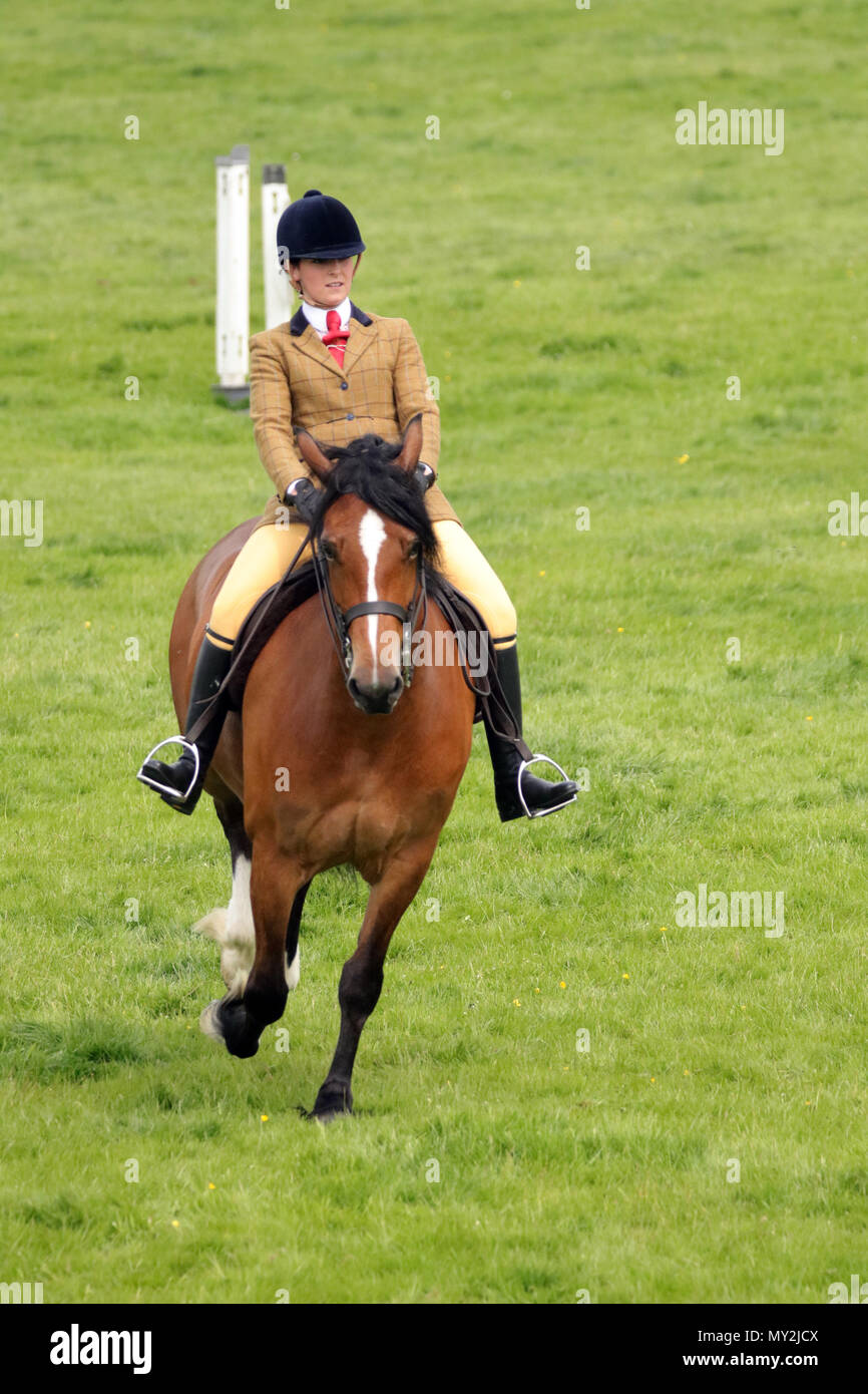 Pontargothi Show 2018 Stock Photo - Alamy