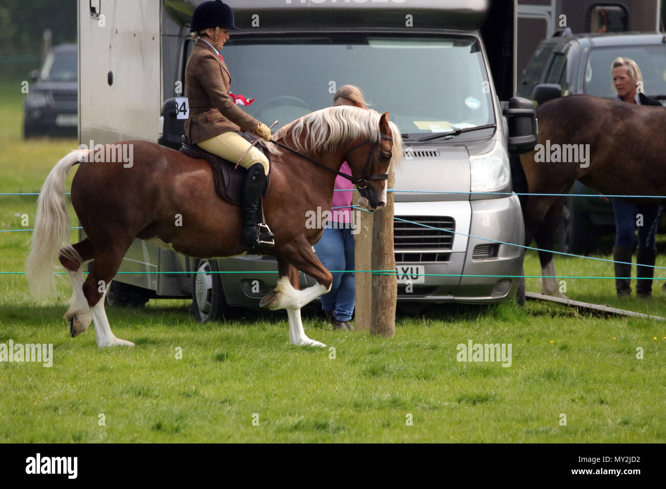 Pontargothi Show 2018 Stock Photo - Alamy