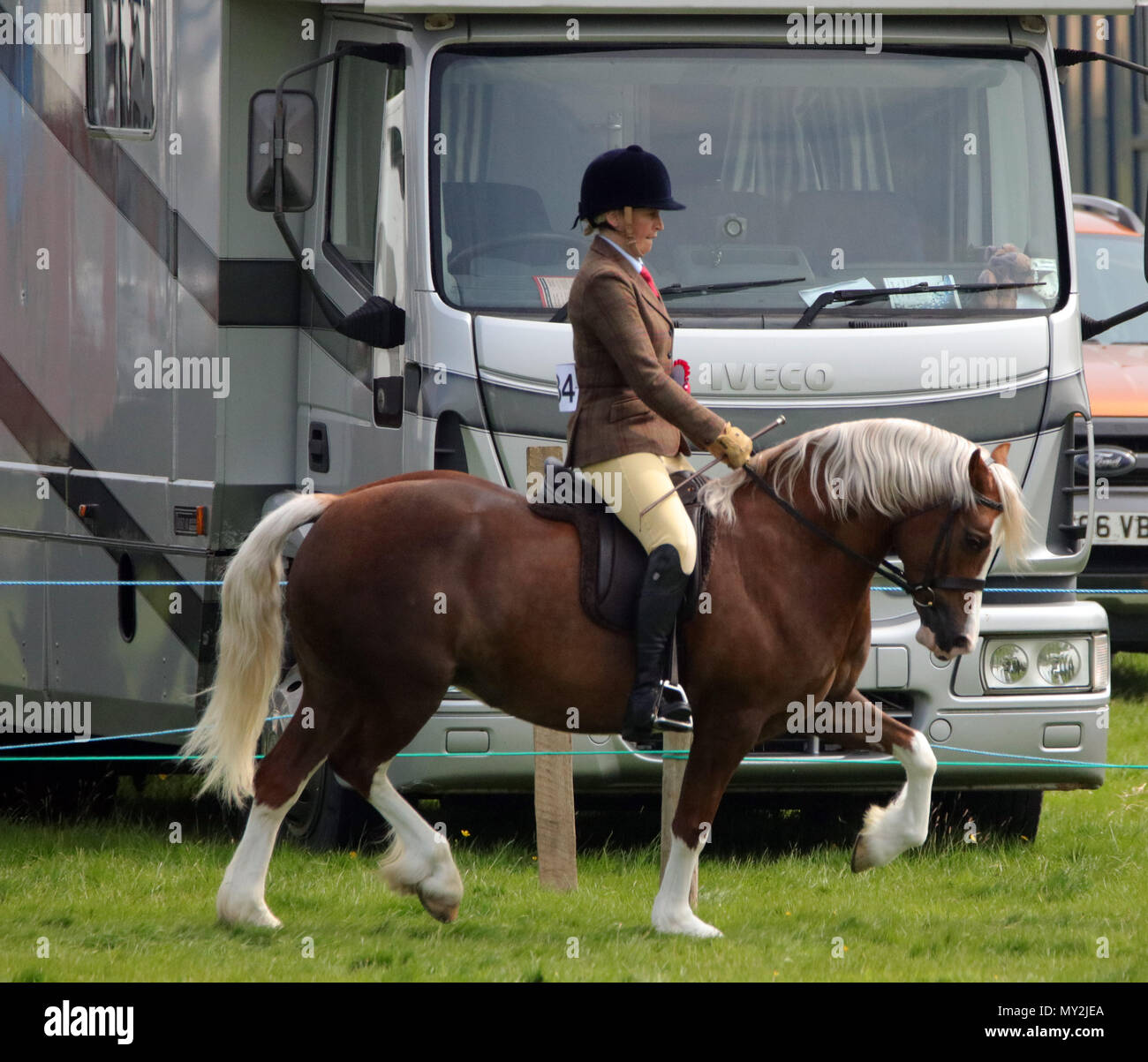 Pontargothi Show 2018 Stock Photo - Alamy