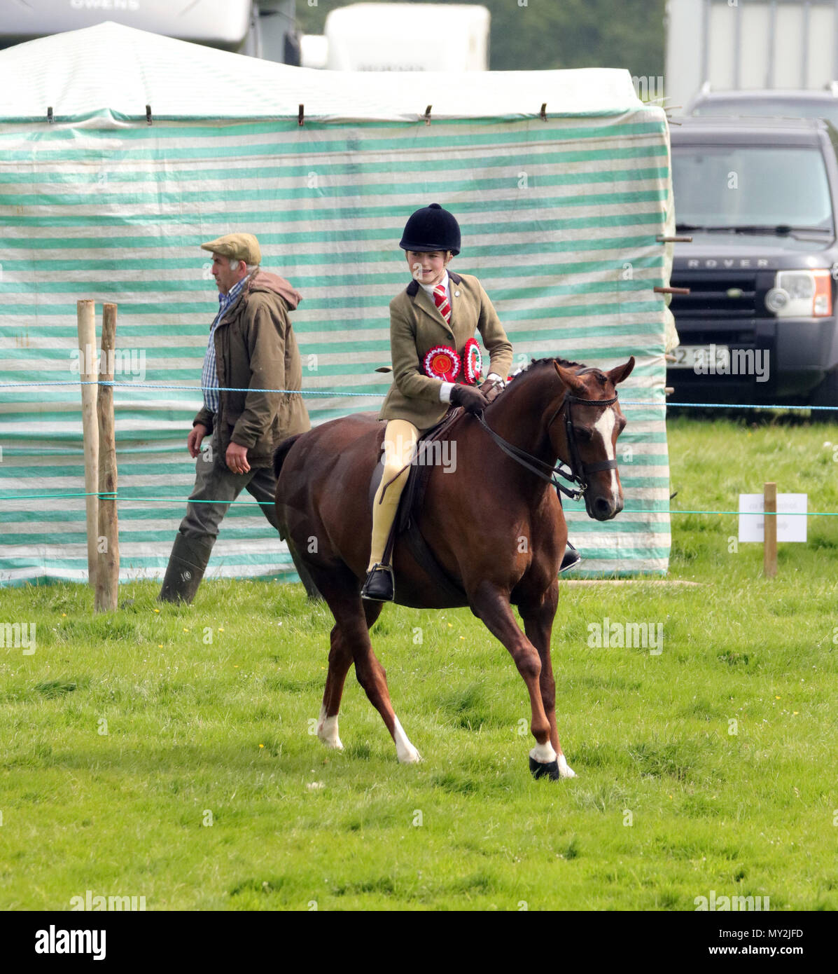 Pontargothi hi-res stock photography and images - Alamy