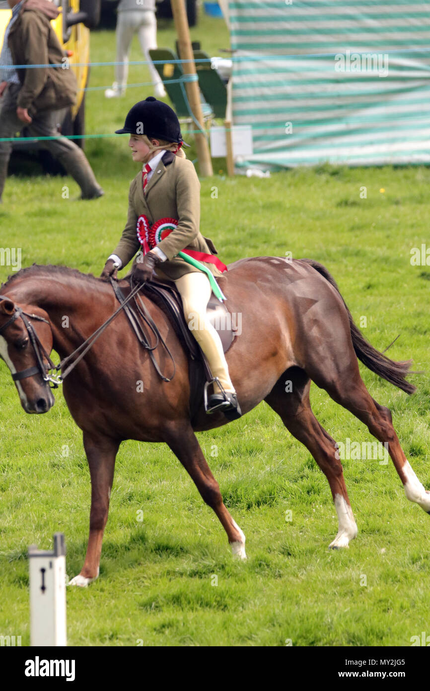 Pontargothi hi-res stock photography and images - Alamy