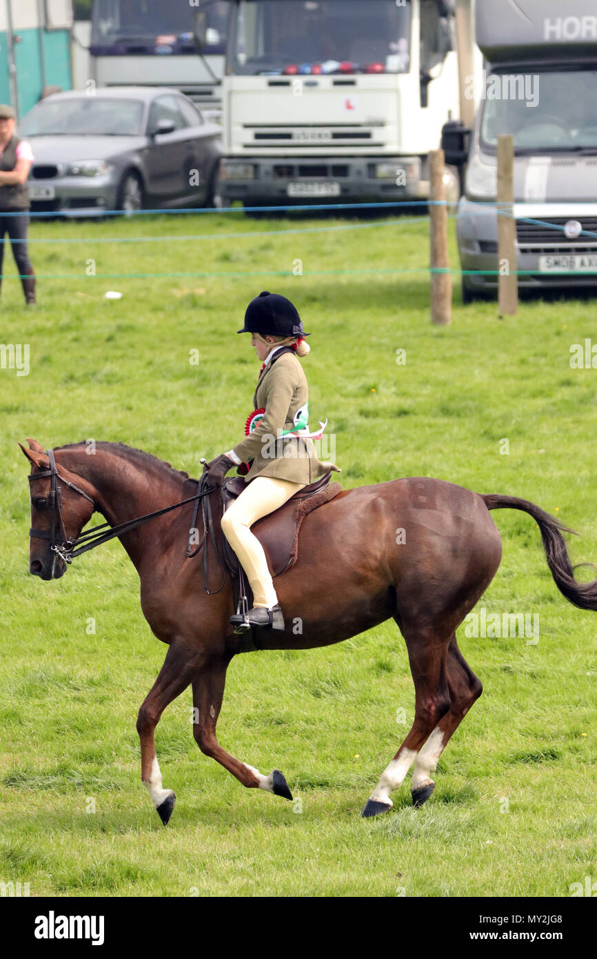 Pontargothi hi-res stock photography and images - Alamy