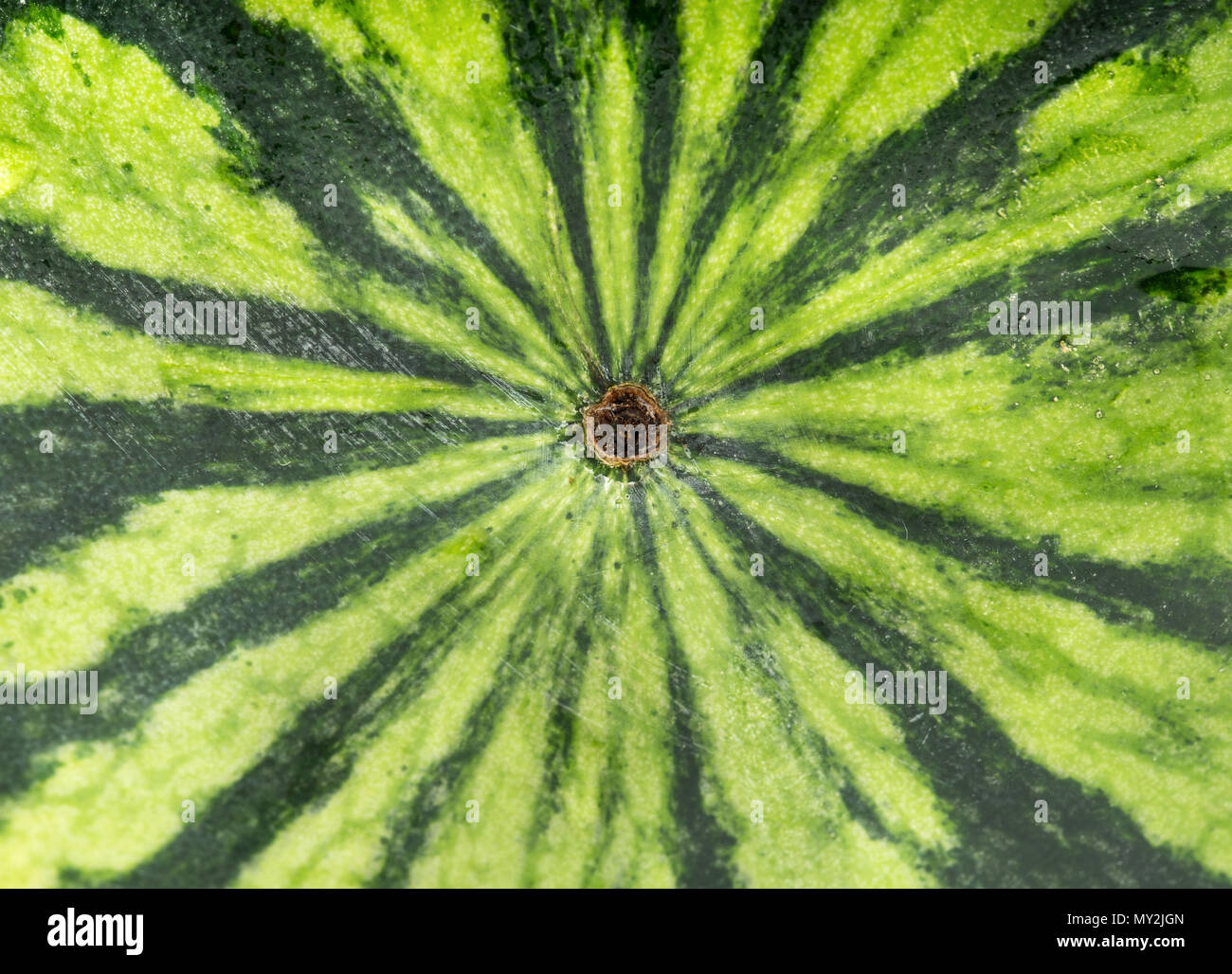 Green skin of watermelon hi-res stock photography and images - Alamy