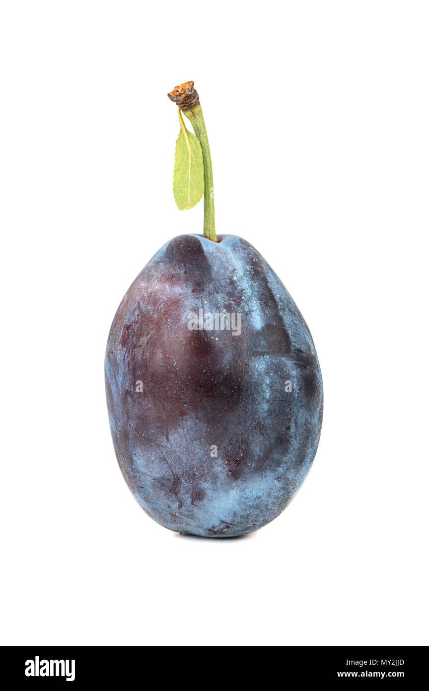 Fresh blue plum with leaf isolated on white background Stock Photo - Alamy