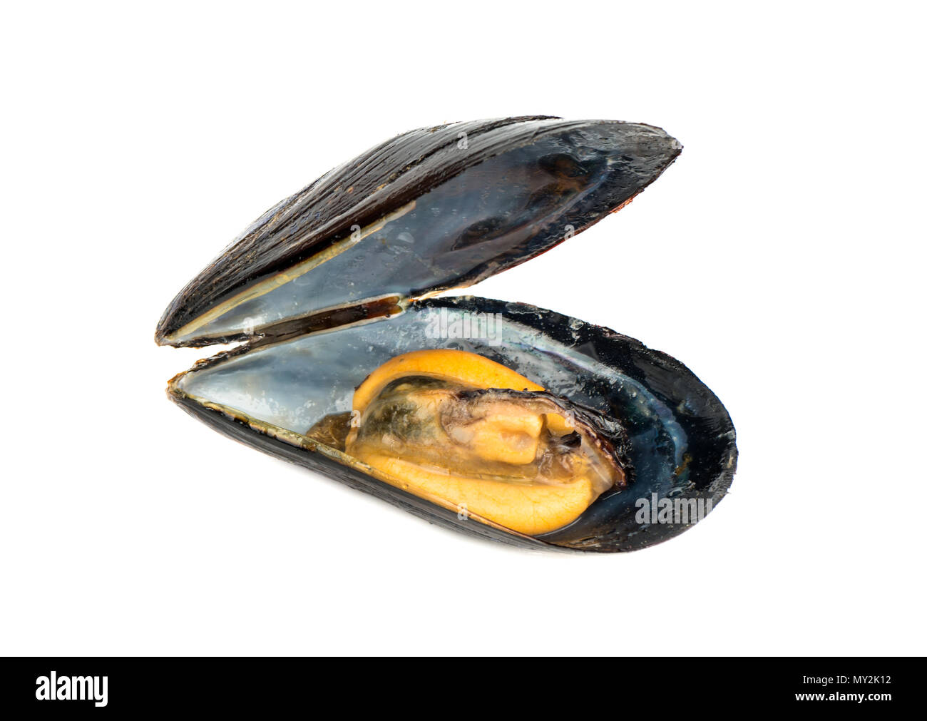 Cooked mussel meat hi-res stock photography and images - Alamy
