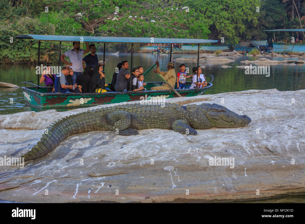 Tourists watching Mugger Crocodile from the Boat - at Ranganathittu ...
