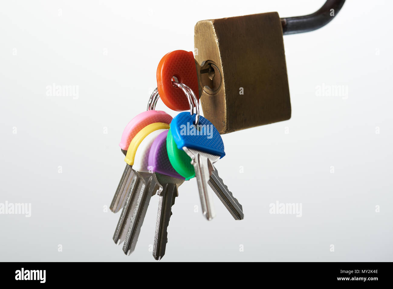 White background security hi-res stock photography and images - Alamy