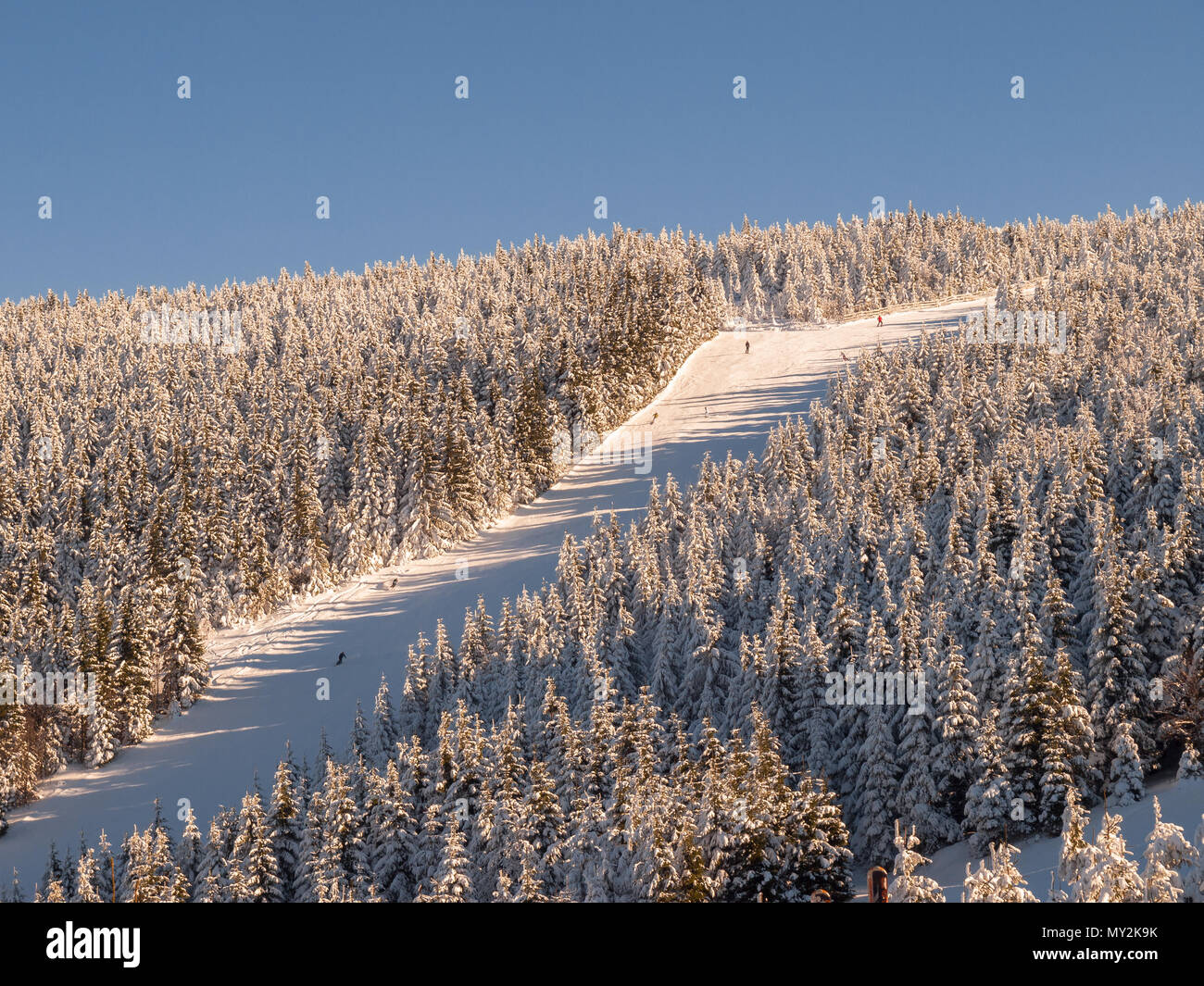 Winter mountain landscape with ski slope and snow-covered trees Stock ...