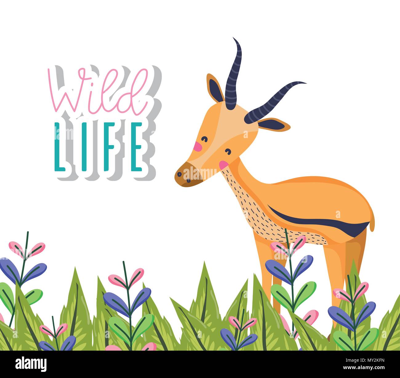 Cute wildlife animals cartoons Stock Vector Image & Art - Alamy