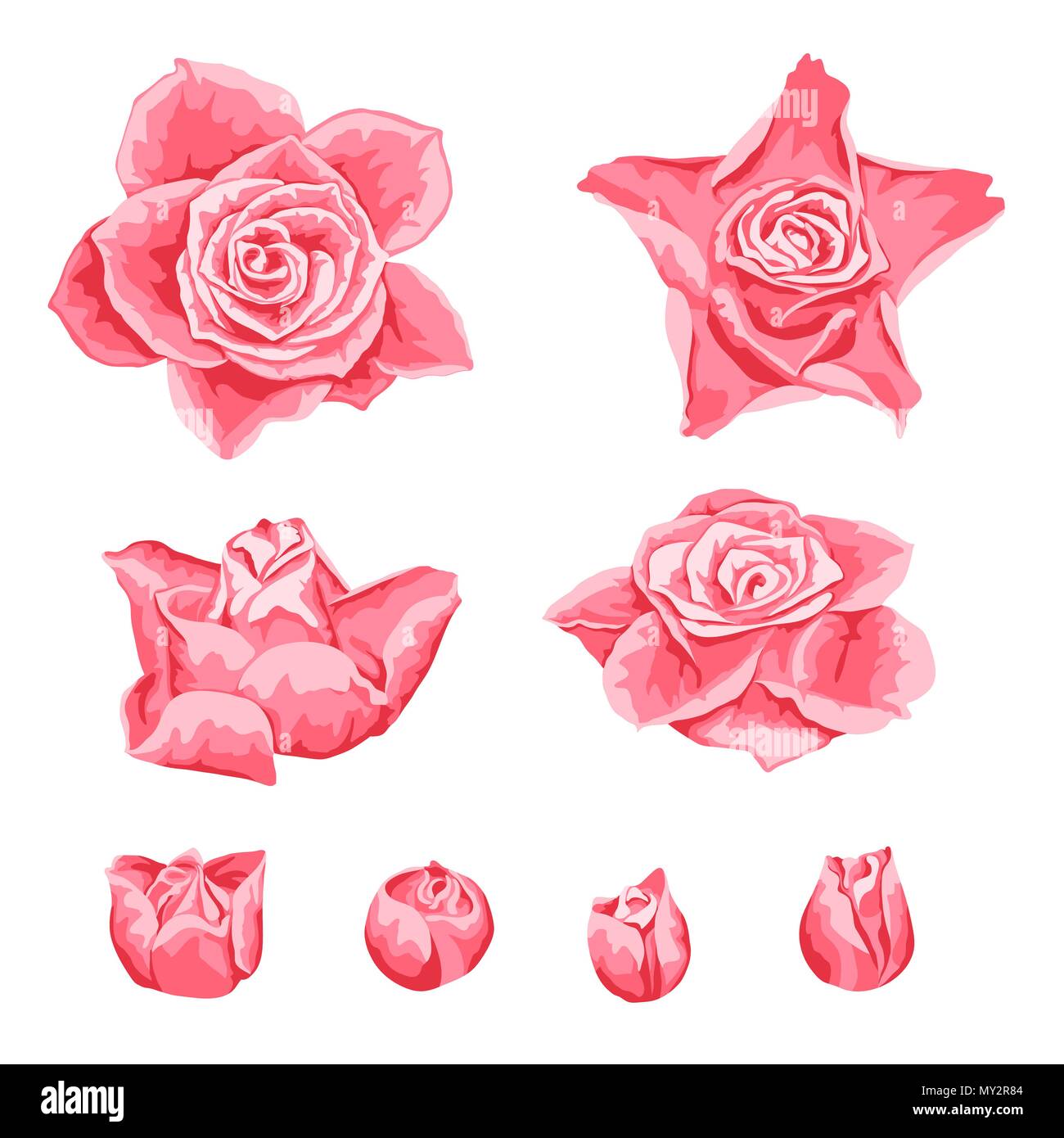 Set of decorative pink roses Stock Vector Image & Art - Alamy