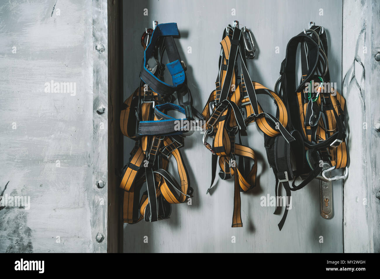 Climbing harnesses hanging on the wall at the gym Stock Photo - Alamy