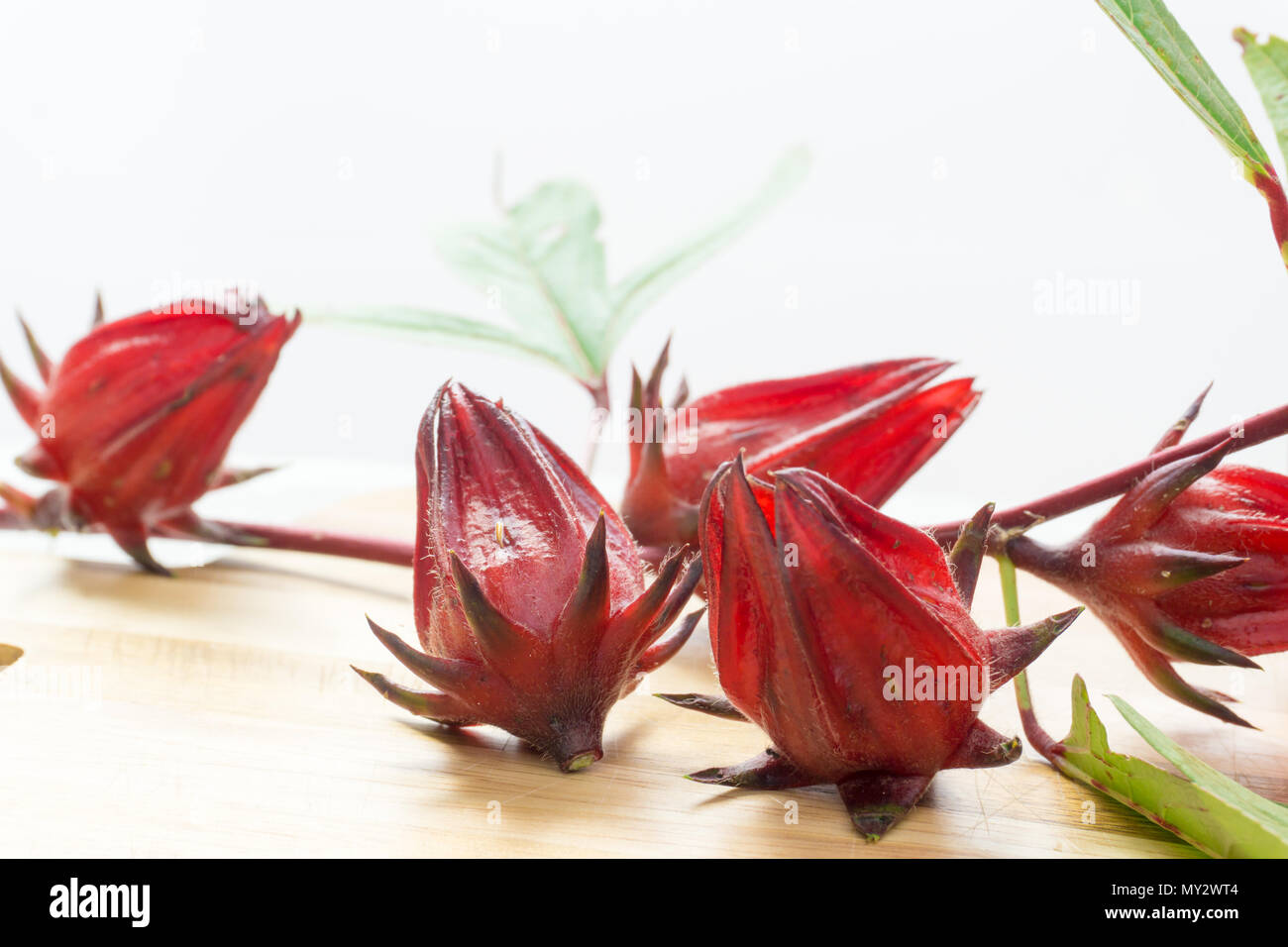 Red Roselle Healthy Red Stock Photo - Alamy
