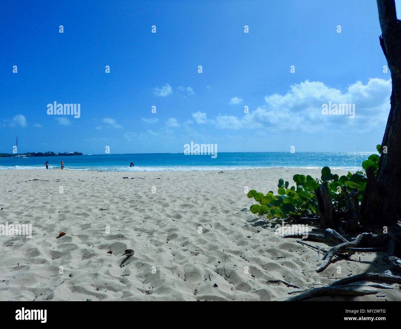 Beautiful idyllic beach day with tourists taking a stroll in the sand ...