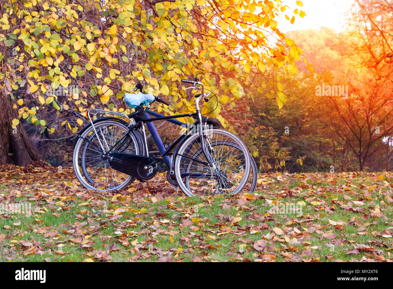 Bike parked in the fall public park with sunset background, Outdoor ...