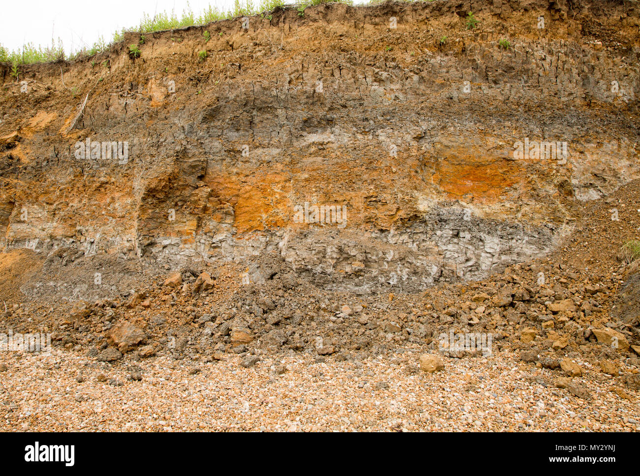 Early pleistocene hi-res stock photography and images - Alamy