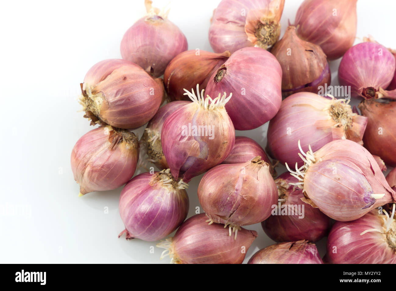 Pile of red onions with root on white background, Thai onions Stock ...
