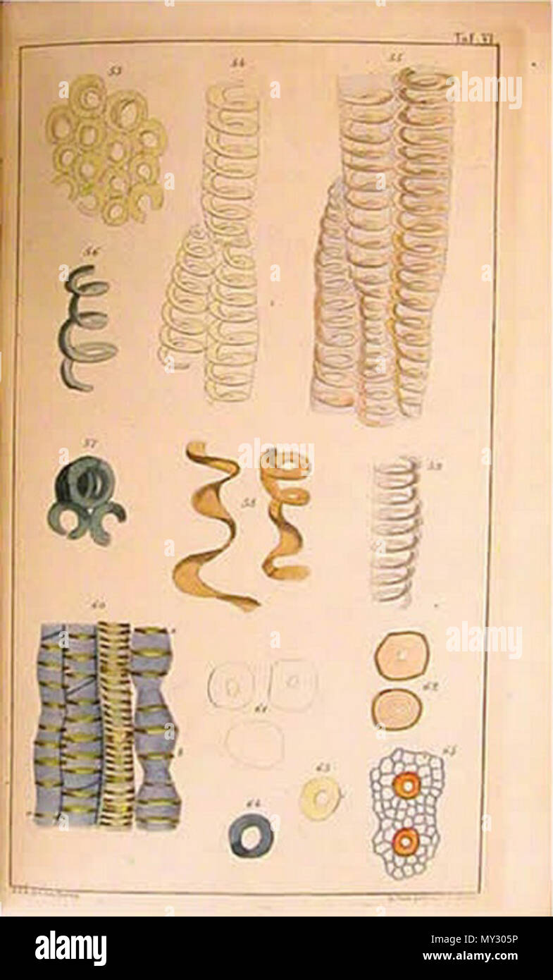 . Versuch einer allgemeinen physiologischen Chemie : Bild . between ...