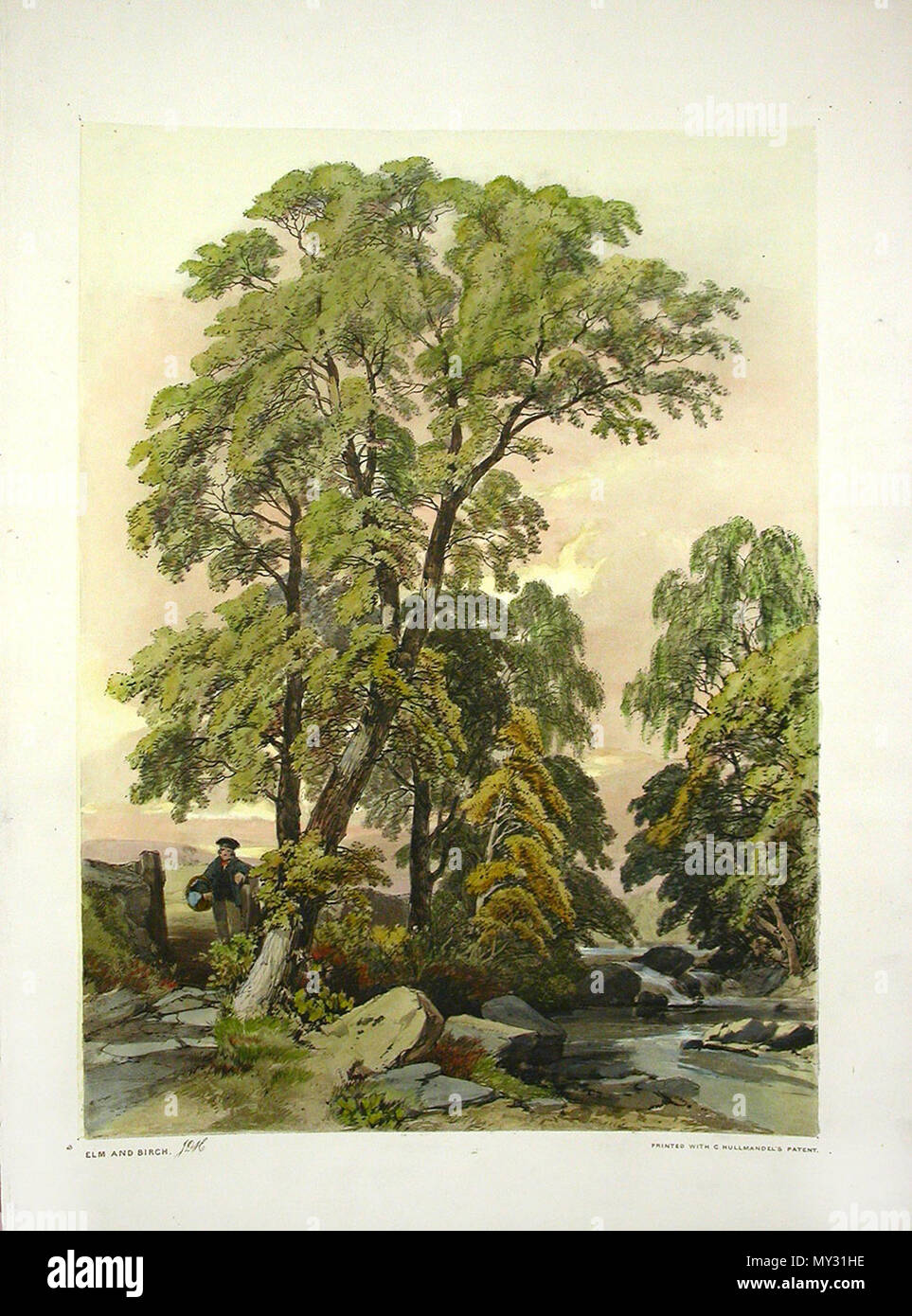 . English: Hand-coloured tree and landscape lithographs from a ...