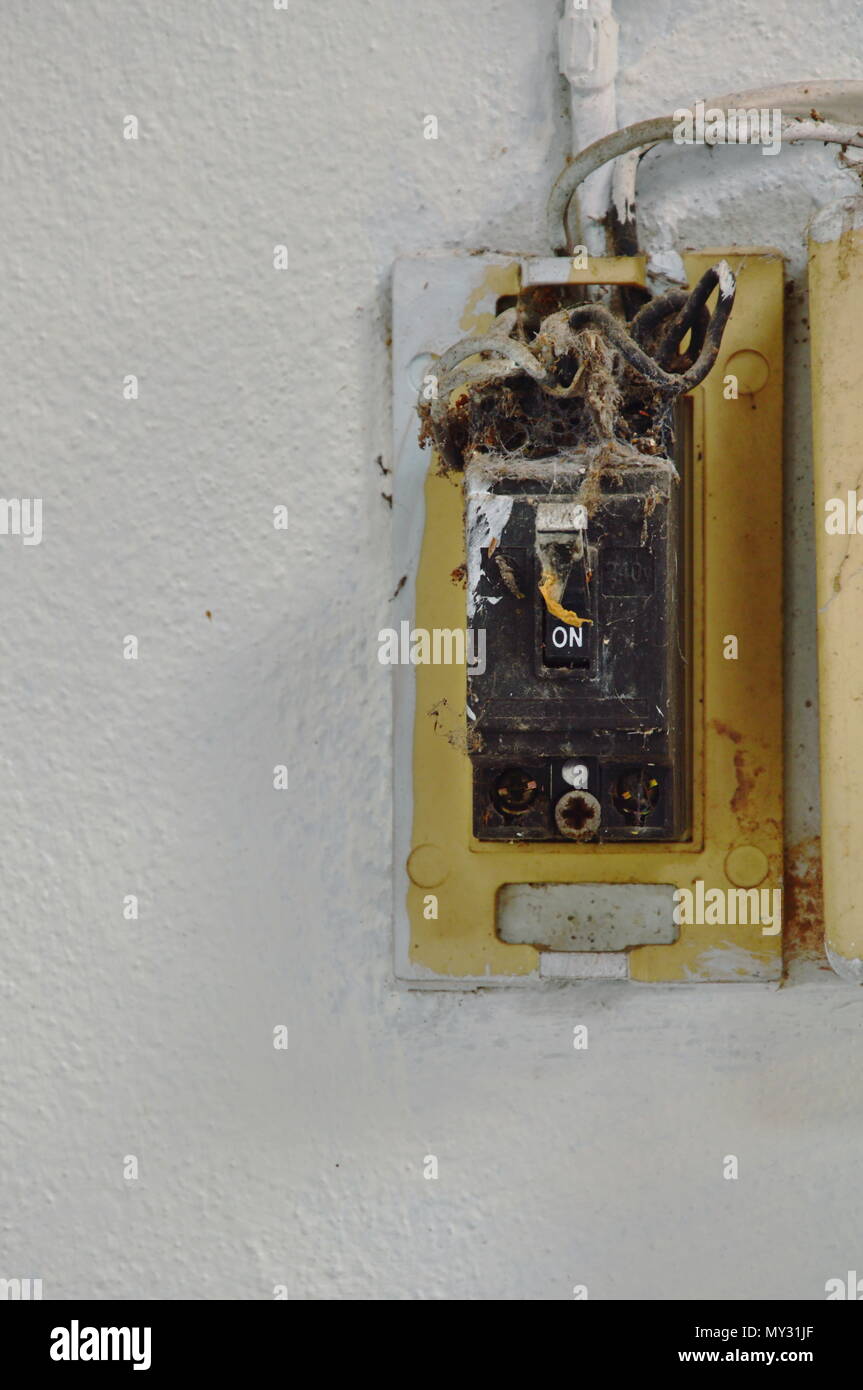 old circuit breaker cover with dust and spider net on cement waal Stock ...