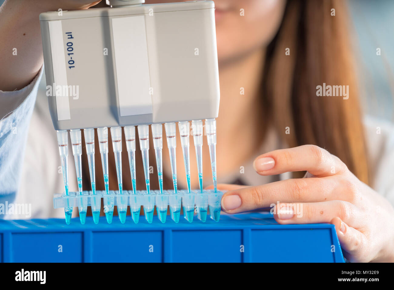 Microbiological laboratory scientist woman with multi channel pipette ...