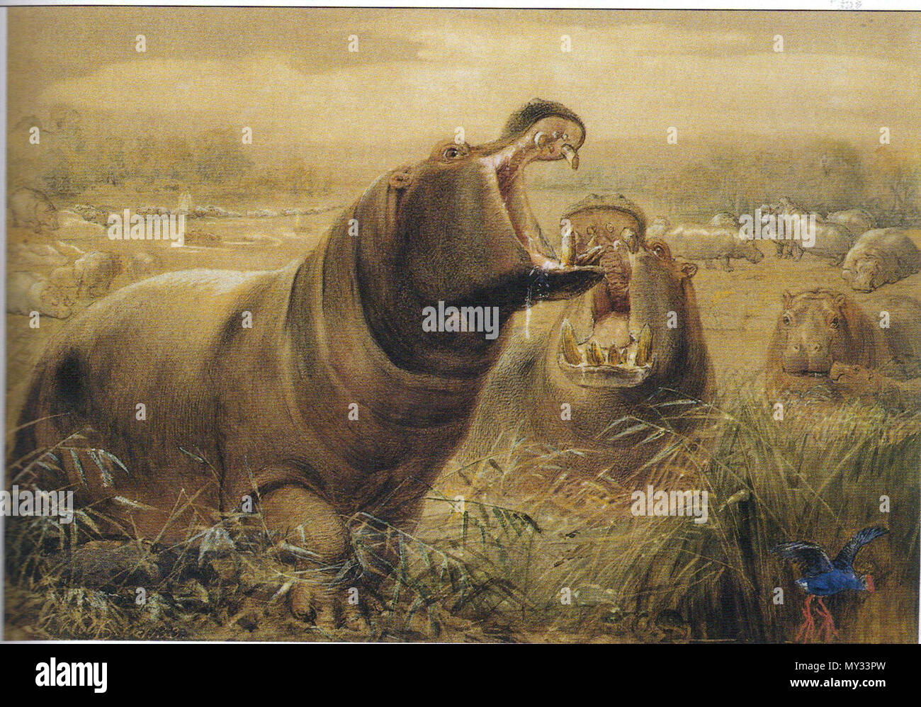 1820 1899 High Resolution Stock Photography and Images - Alamy