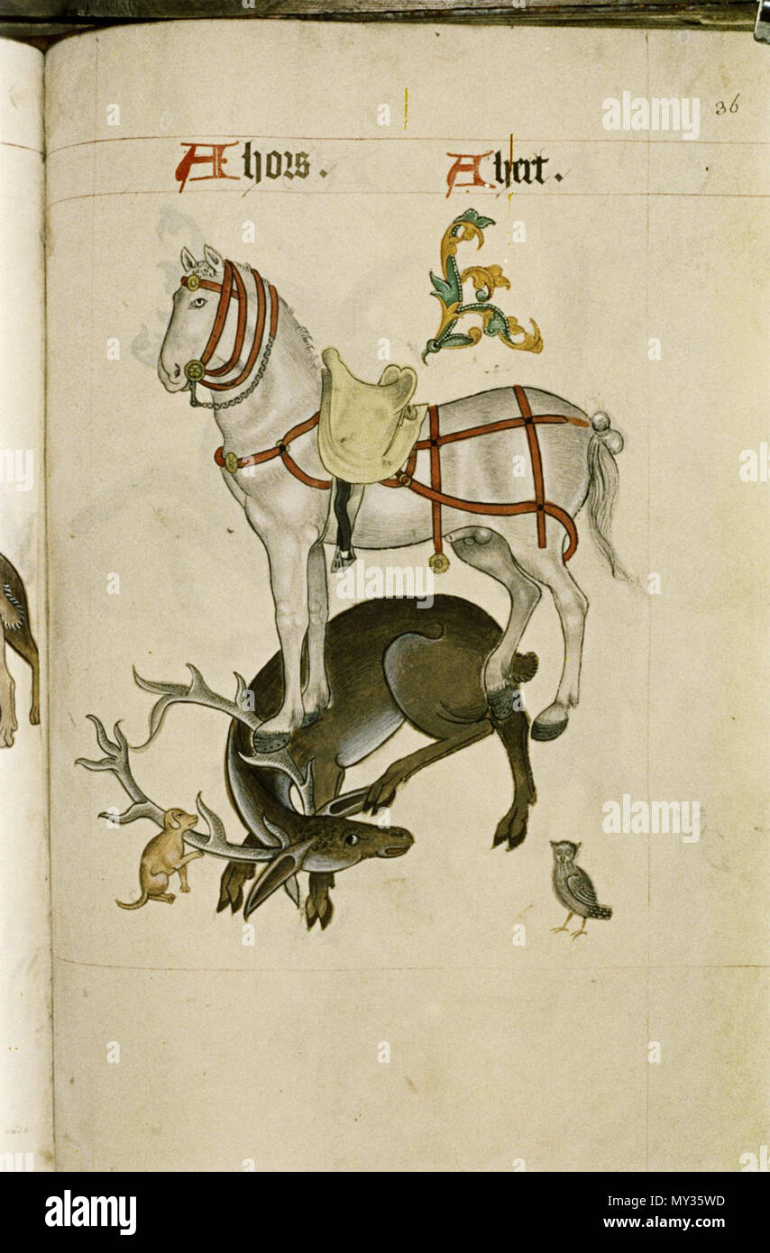 . The Tudor Pattern Book. Bodleian Library, MS. Ashmole 1504 . between ...