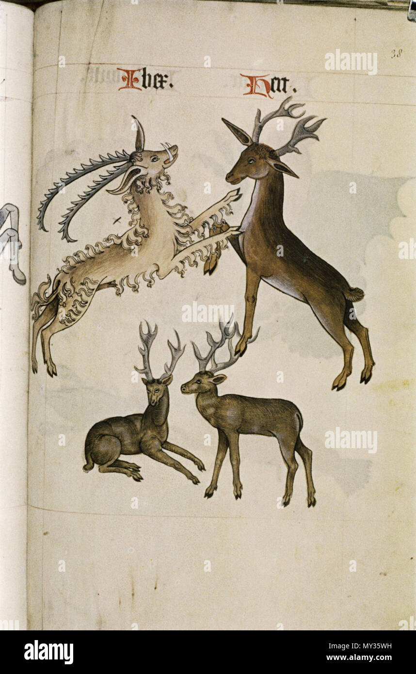 . The Tudor Pattern Book. Bodleian Library, MS. Ashmole 1504 . between ...