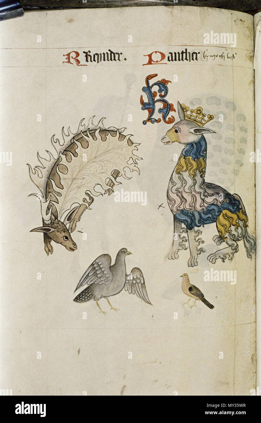 . The Tudor Pattern Book. Bodleian Library, MS. Ashmole 1504 . between ...