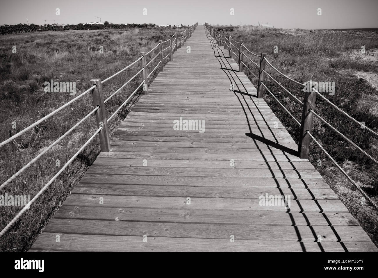 black and white image of walkway to beach Praia dos Salgados Stock ...