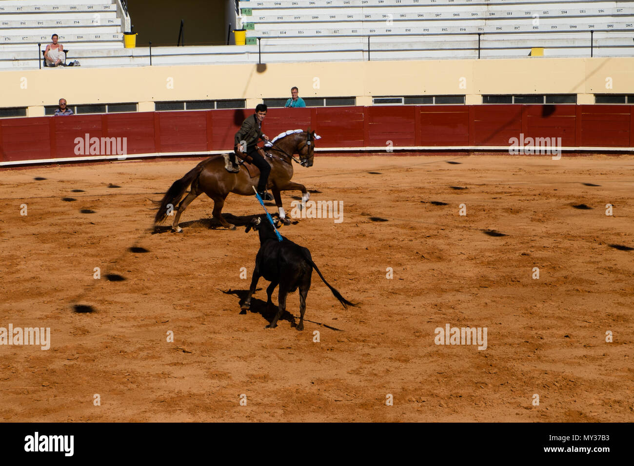 Portuguese style bullfighting hi-res stock photography and images - Alamy