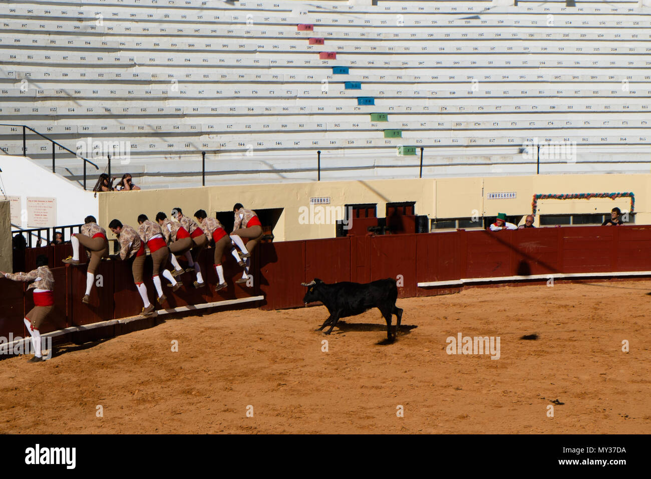 bullfighting Praça de Toiros de Albufeira Portugal Stock Photo - Alamy