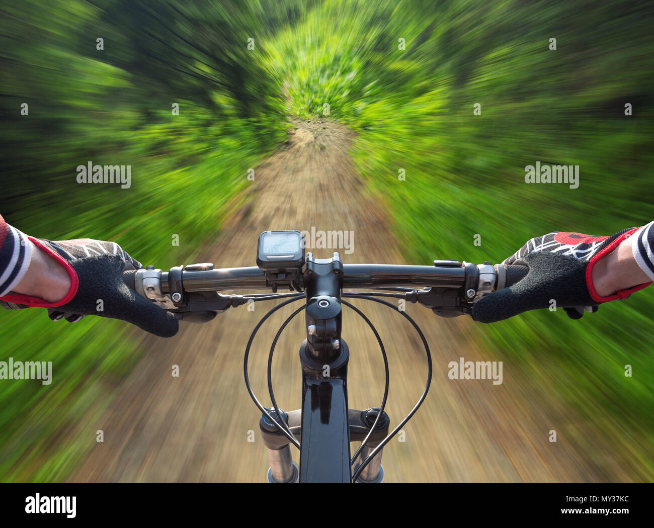 Fast ride in summer forest. Sport and active life concept Stock Photo ...