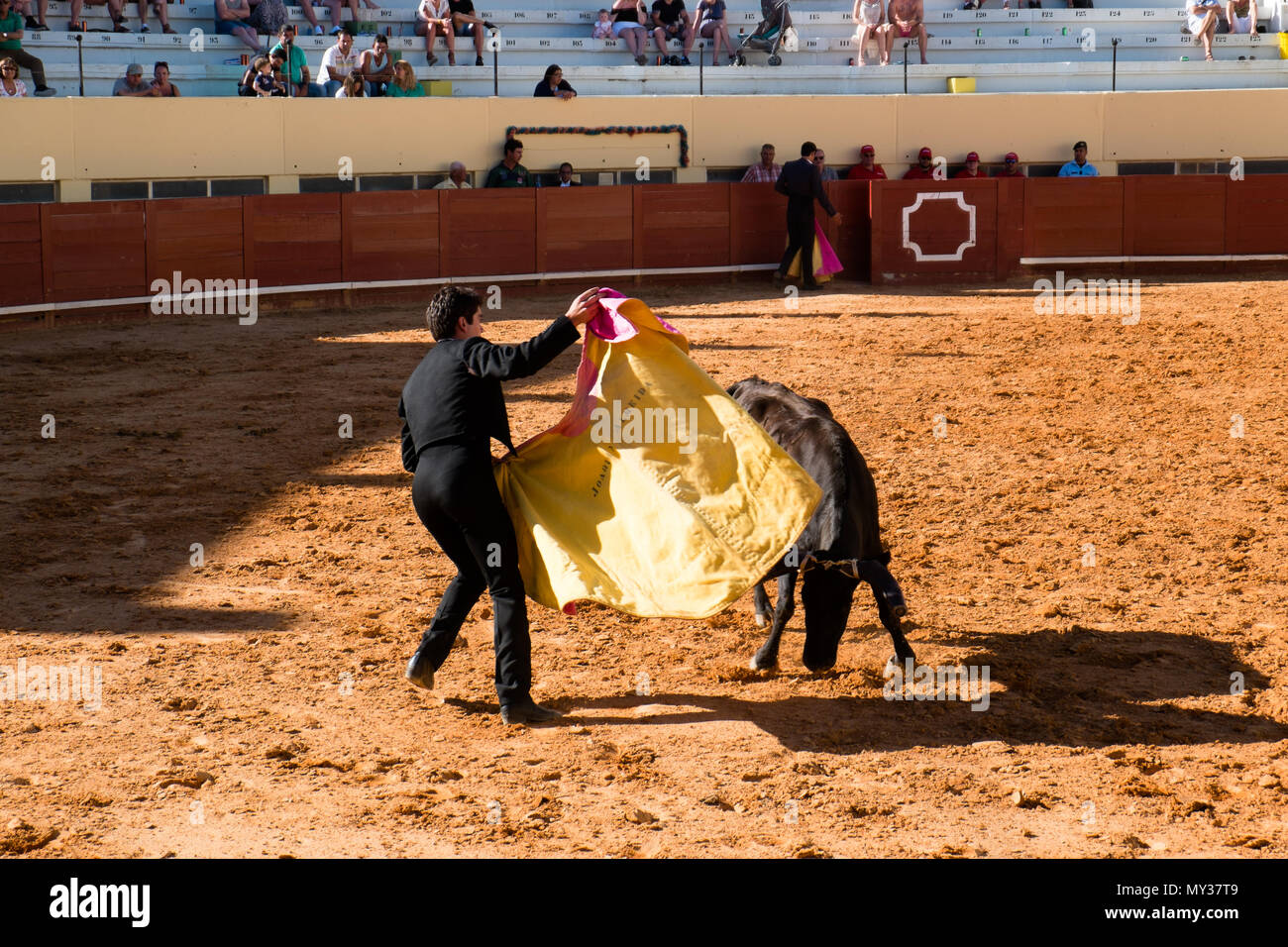 Portuguese style bullfighting hi-res stock photography and images - Alamy
