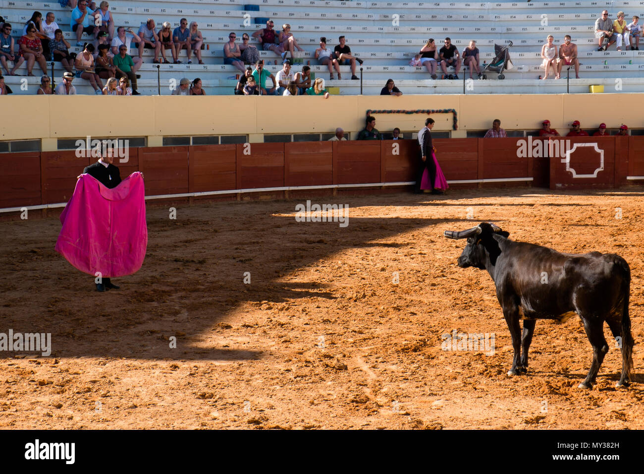Portuguese style bullfighting hi-res stock photography and images - Alamy