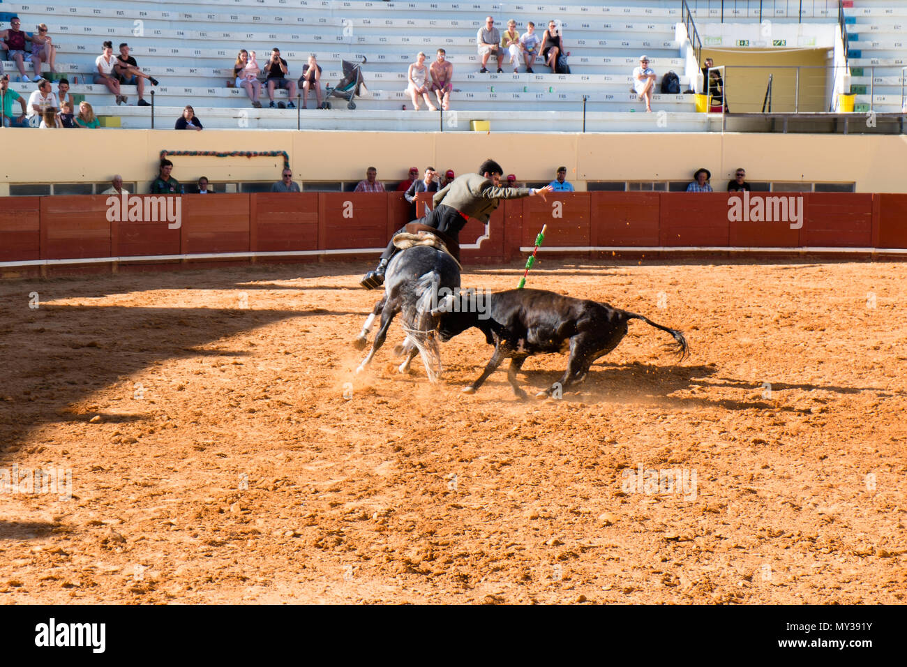 Portuguese style bullfighting hi-res stock photography and images - Alamy