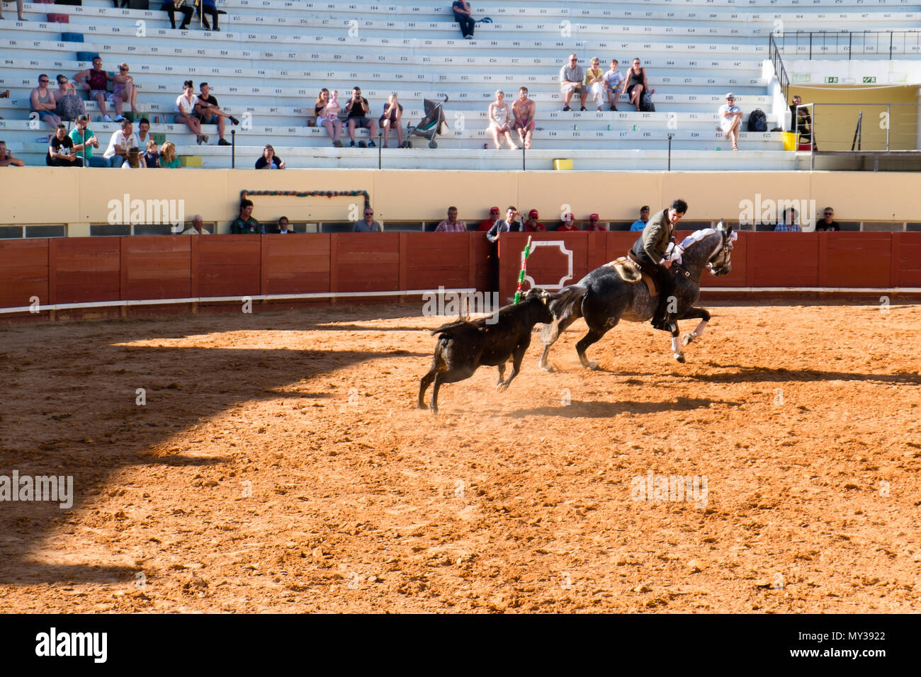 bullfighting Praça de Toiros de Albufeira Portugal Stock Photo - Alamy