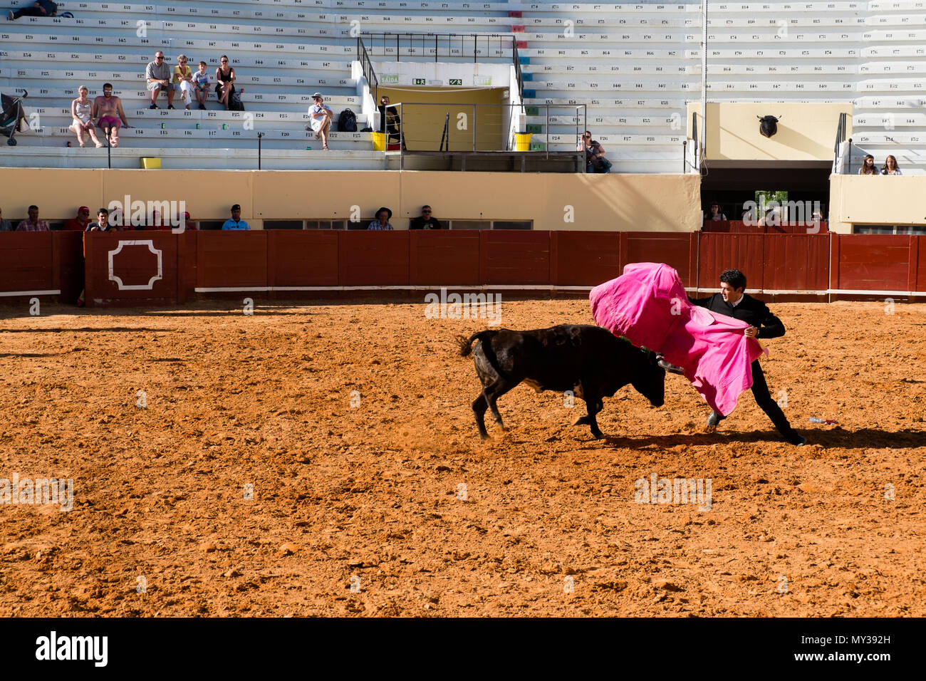 Portuguese style bullfighting hi-res stock photography and images - Alamy