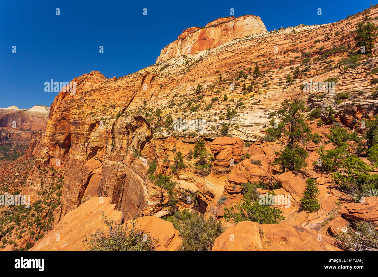 Nature landscape of Zion National Park, USA. This nature landscape is ...