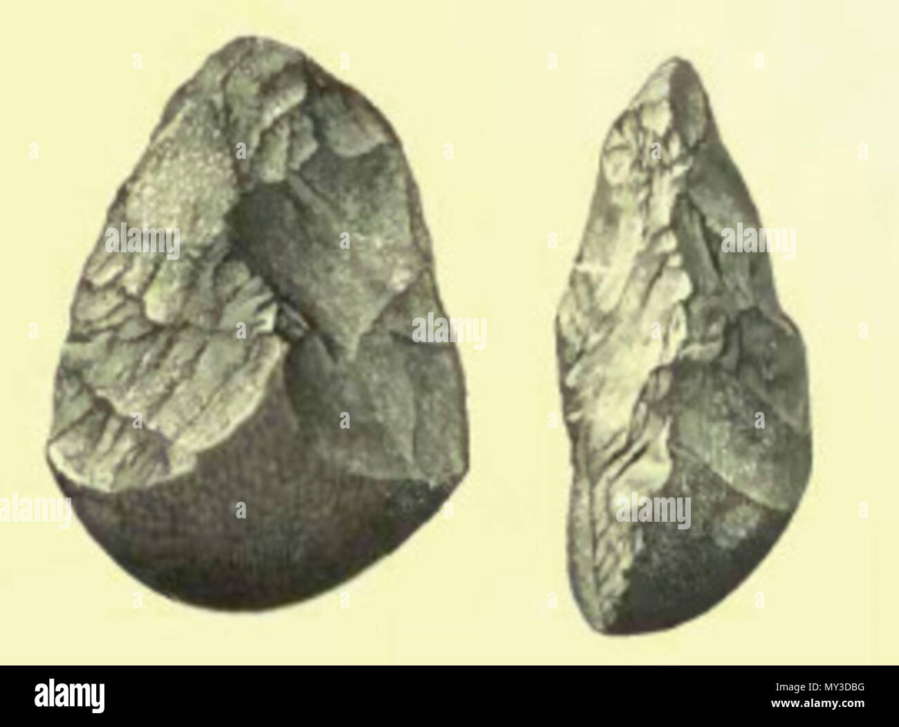 . The Saltley Handaxe, drawn by Sir John Evans in 1897 . 1897. John ...