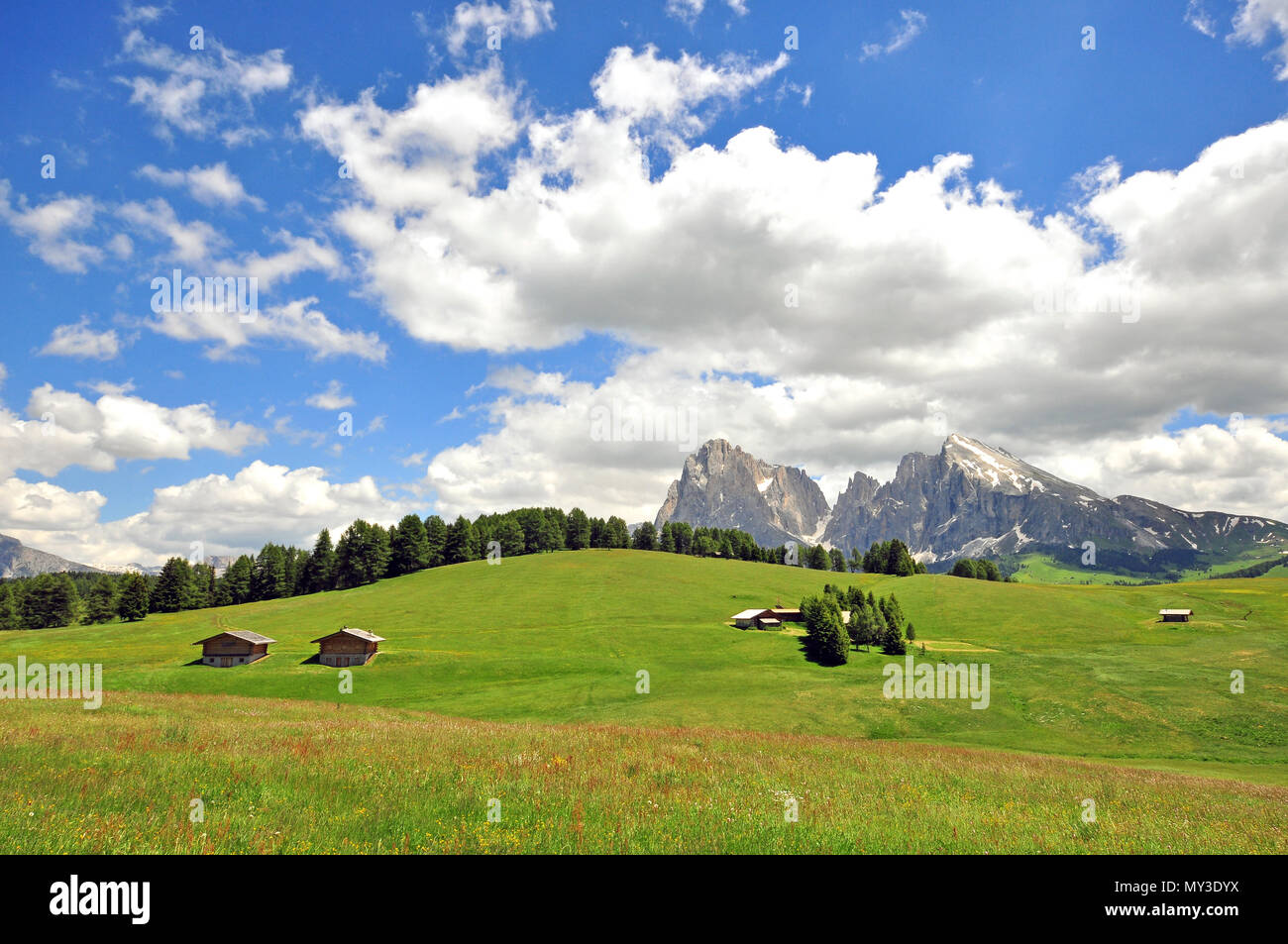Amazing valley near Ortisei, Dolomites, Italy Stock Photo - Alamy