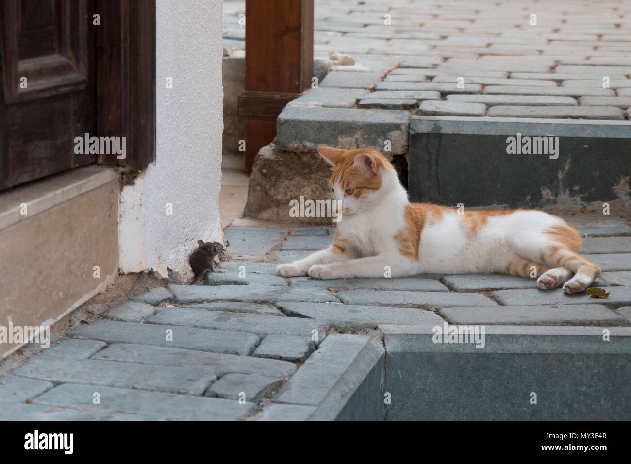Playing dead woman hi-res stock photography and images - Alamy