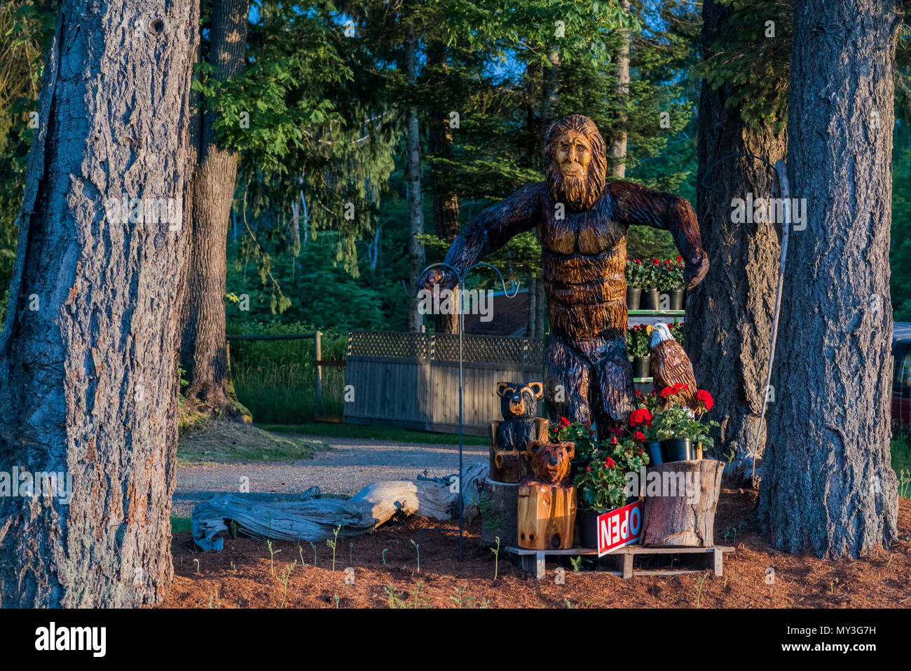 Bigfoot Sasquatch High Resolution Stock Photography and Images - Alamy