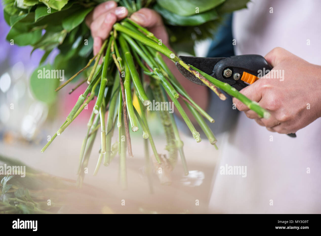 close-up partial view of florist cutting green stems with secateurs ...