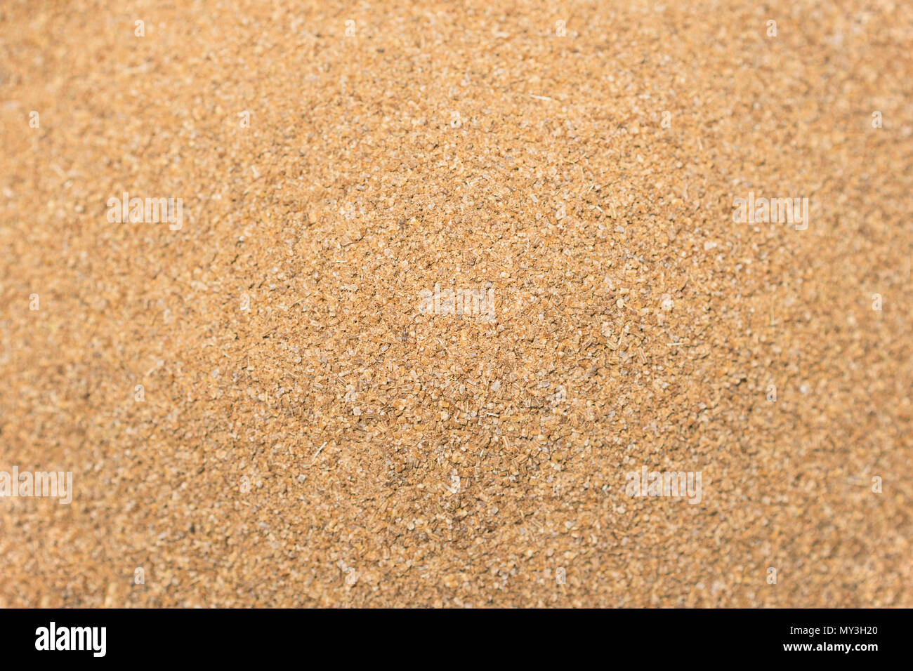 Brown background of ground pepper. Organic Dried coriander seeds (Coriandrum sativum) closeup ...