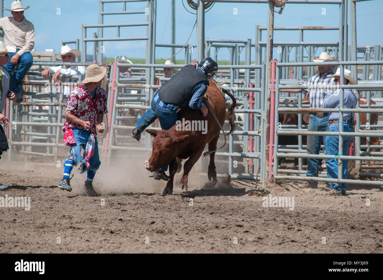 Bareback Riding Horse In Town High Resolution Stock Photography and ...
