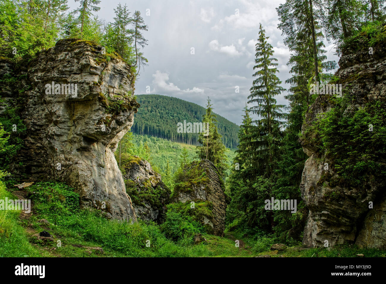 Road trip true the wonderful nature and landscape of Romania Stock ...